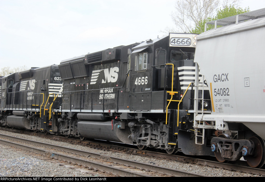 NS 4666